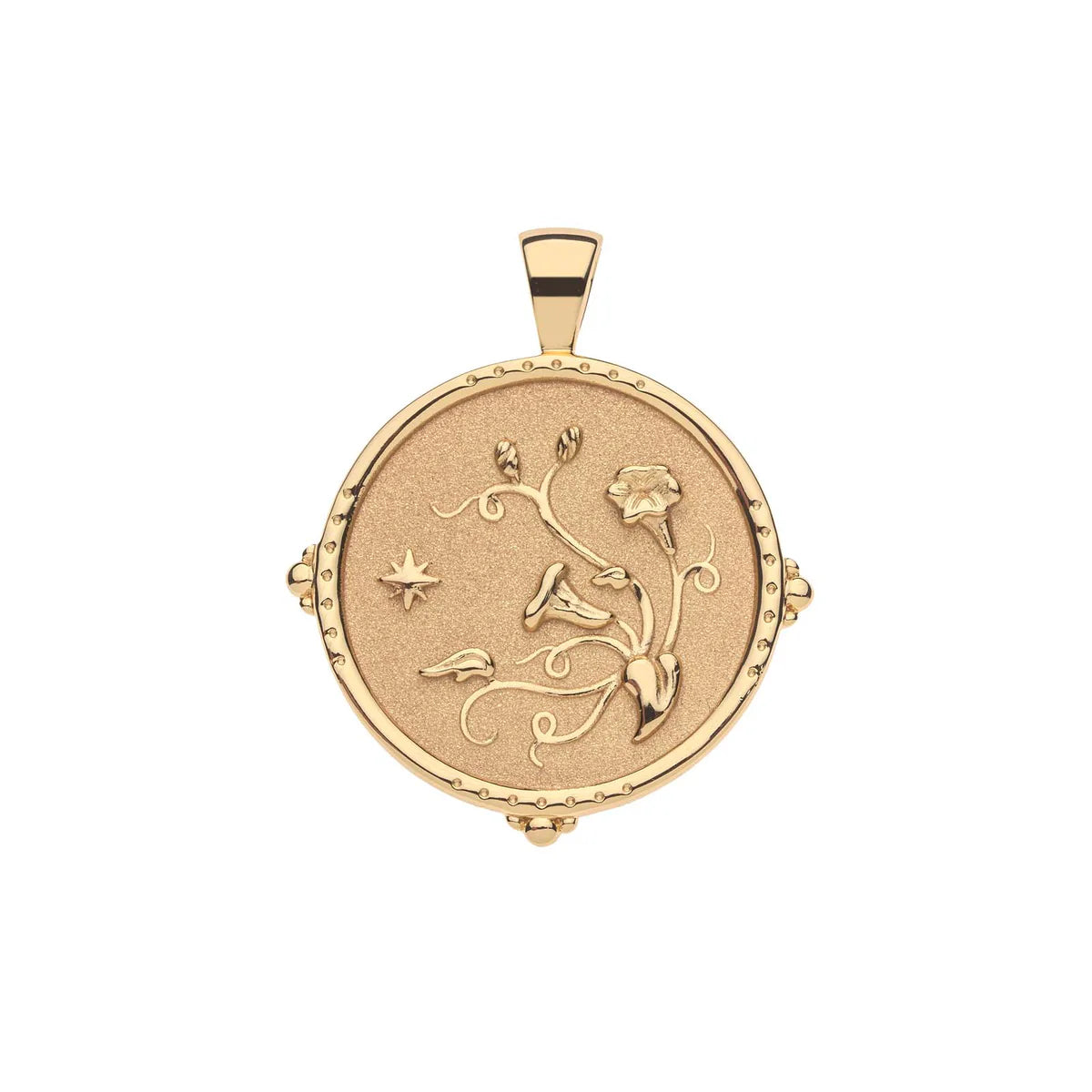 Jane Win GRACE JW Original Pendant Coin On 18" Drawn Link Chain – Cat ...